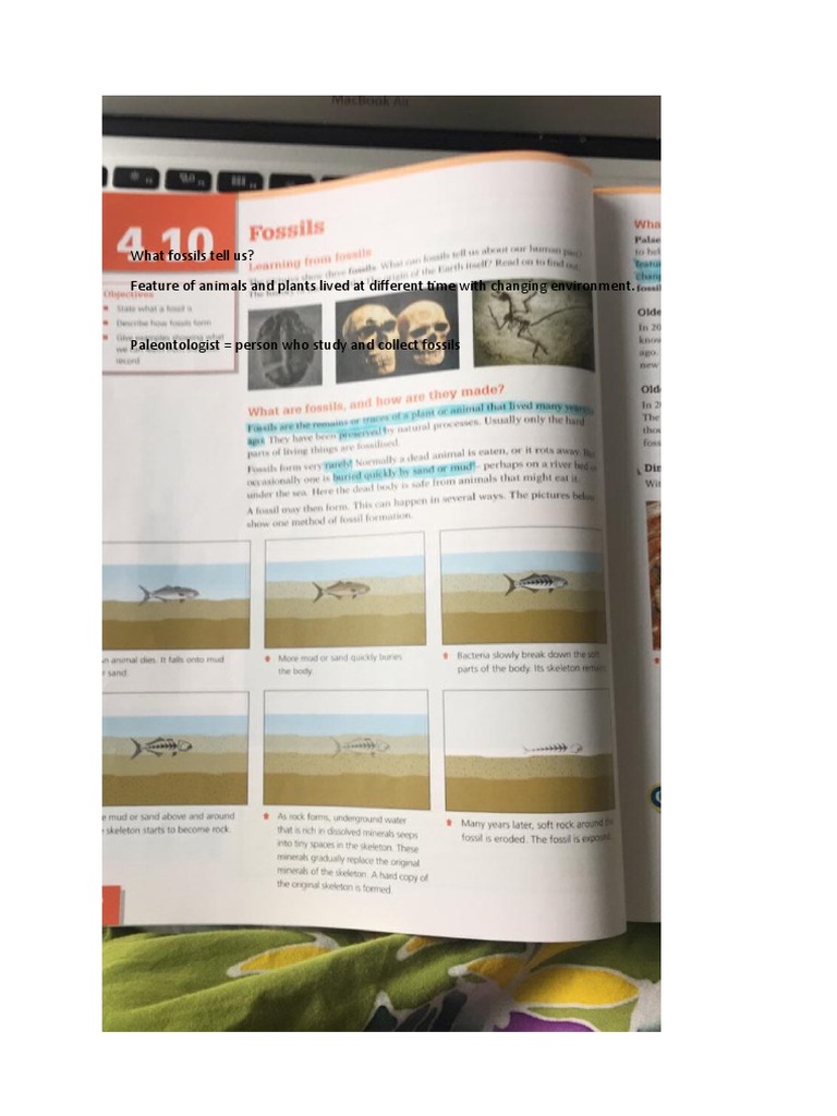 Fossils | PDF
