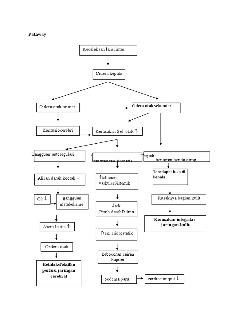 Pathway CKB | PDF