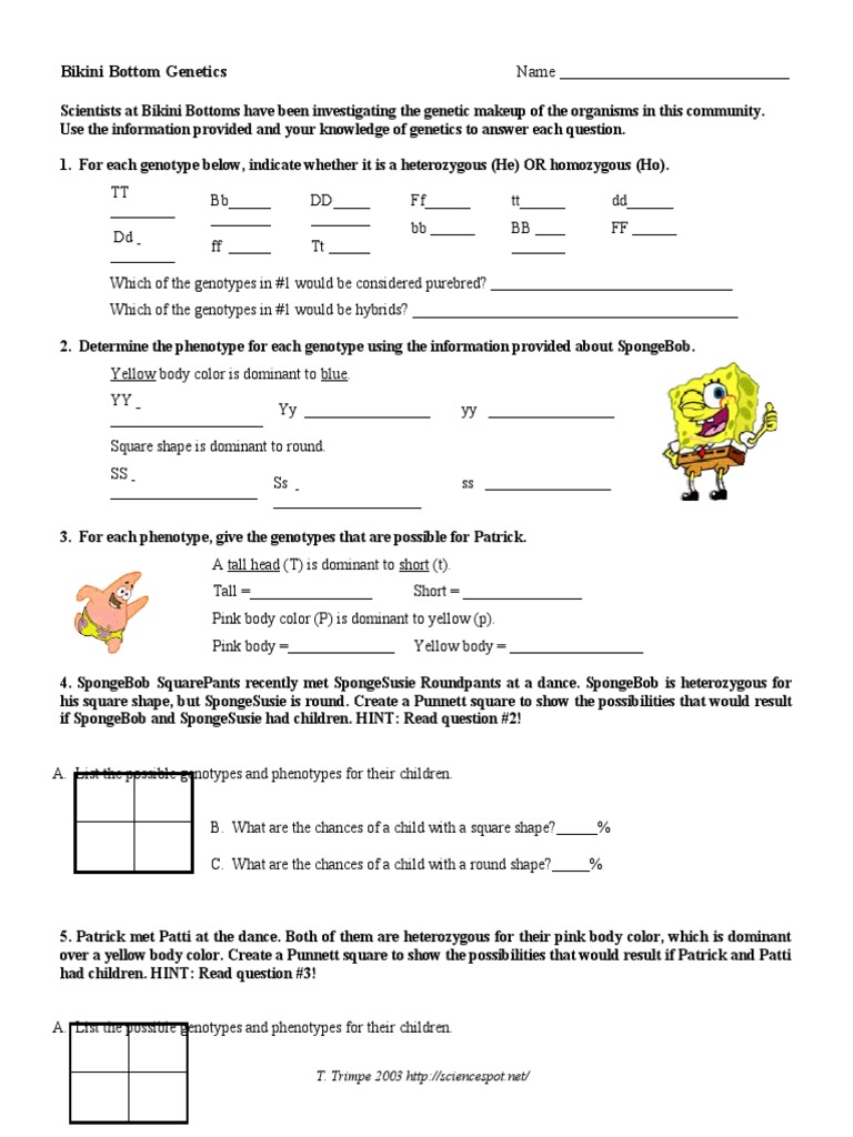 SCIENCE 10 Genetics Worksheets With Answers 1 | PDF | Dominance ...