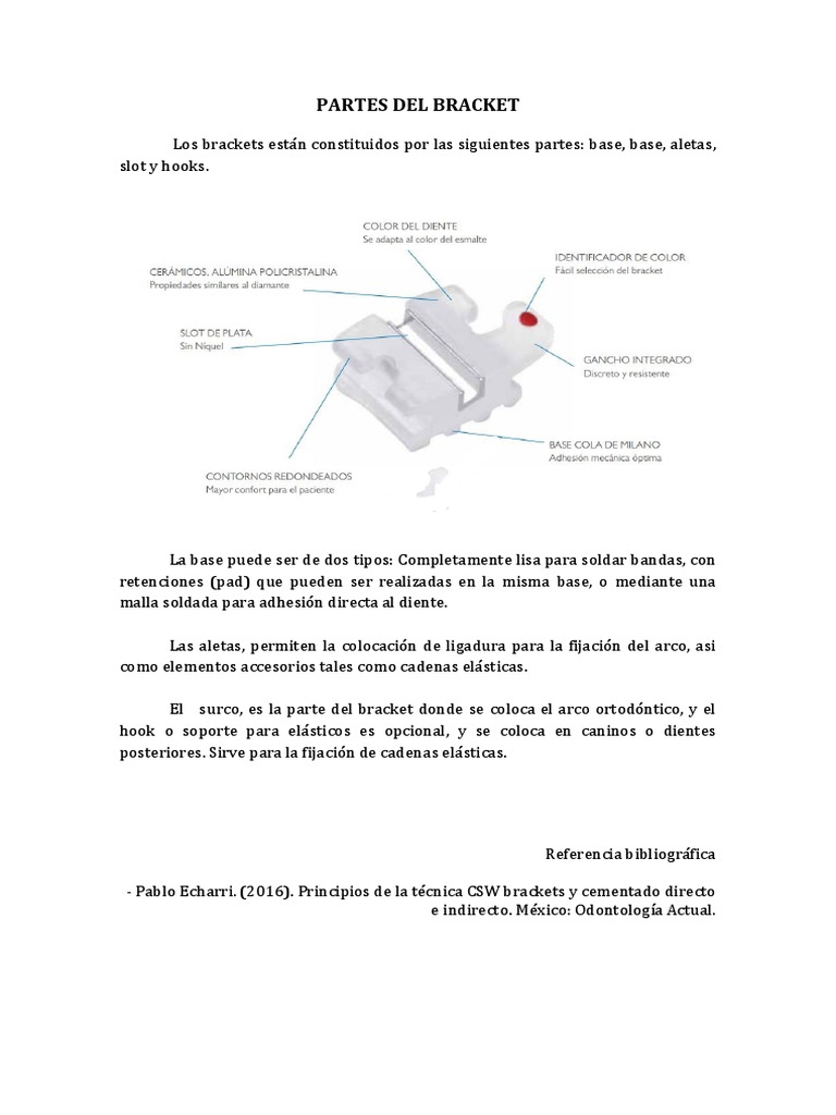 Partes del Bracket de Ortodoncia | PDF