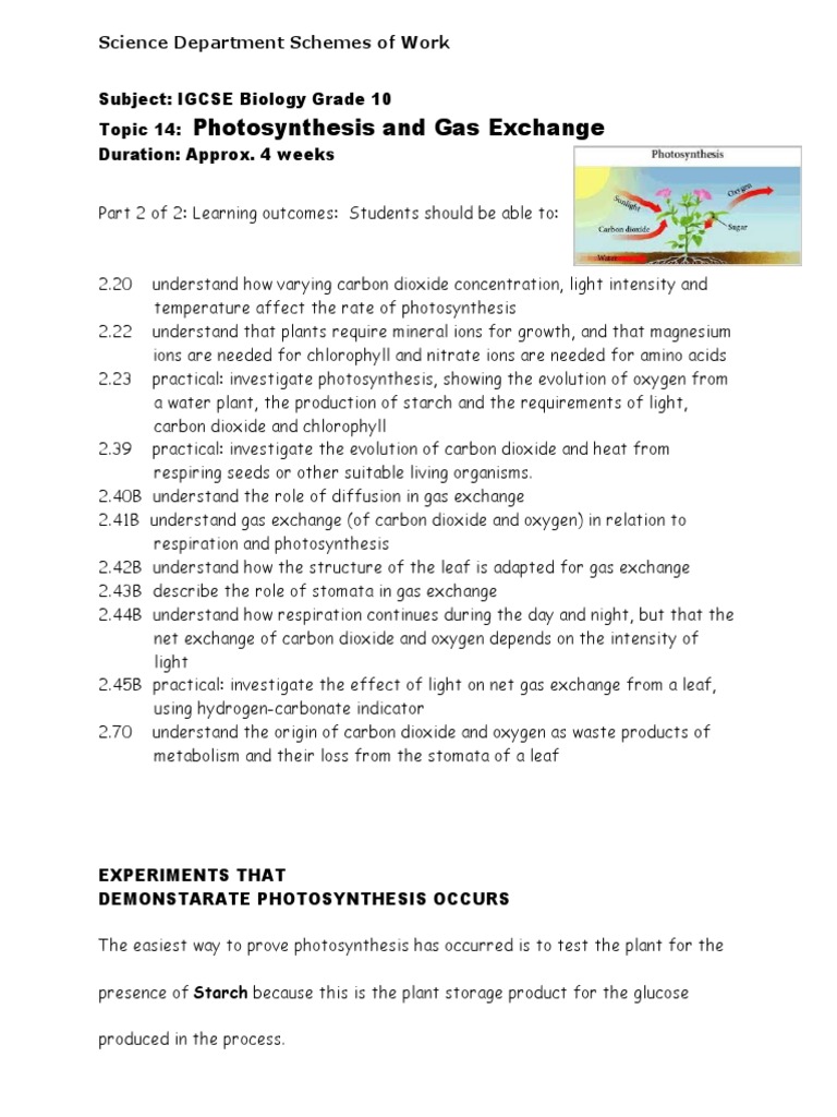 2.part 2 Worksheet Gas Exchange Proving Photosynthesis Nutrition | PDF ...
