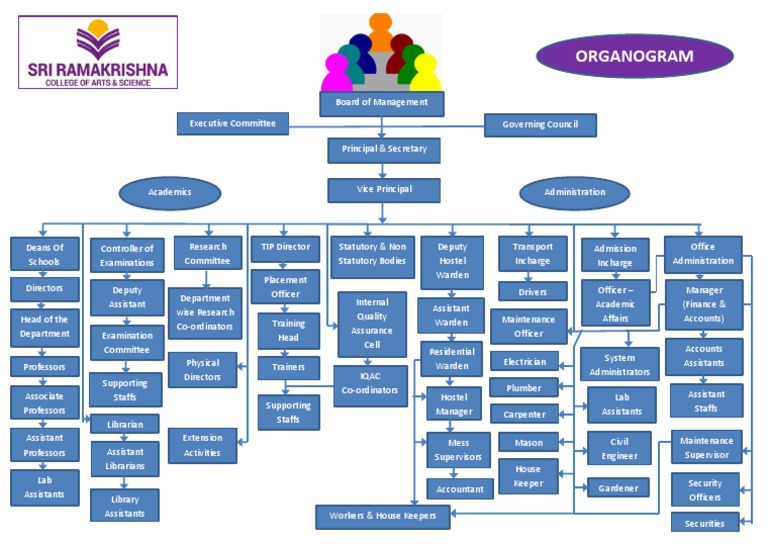Organogram Structure | PDF | Academia | Library And Museum