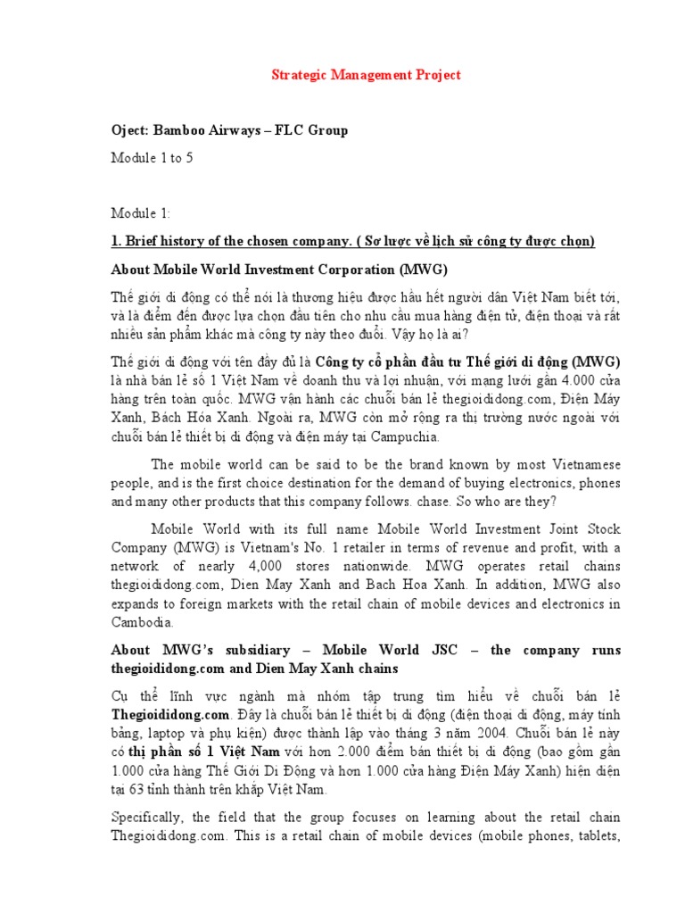 MWG Strategic Management Project 1 | PDF