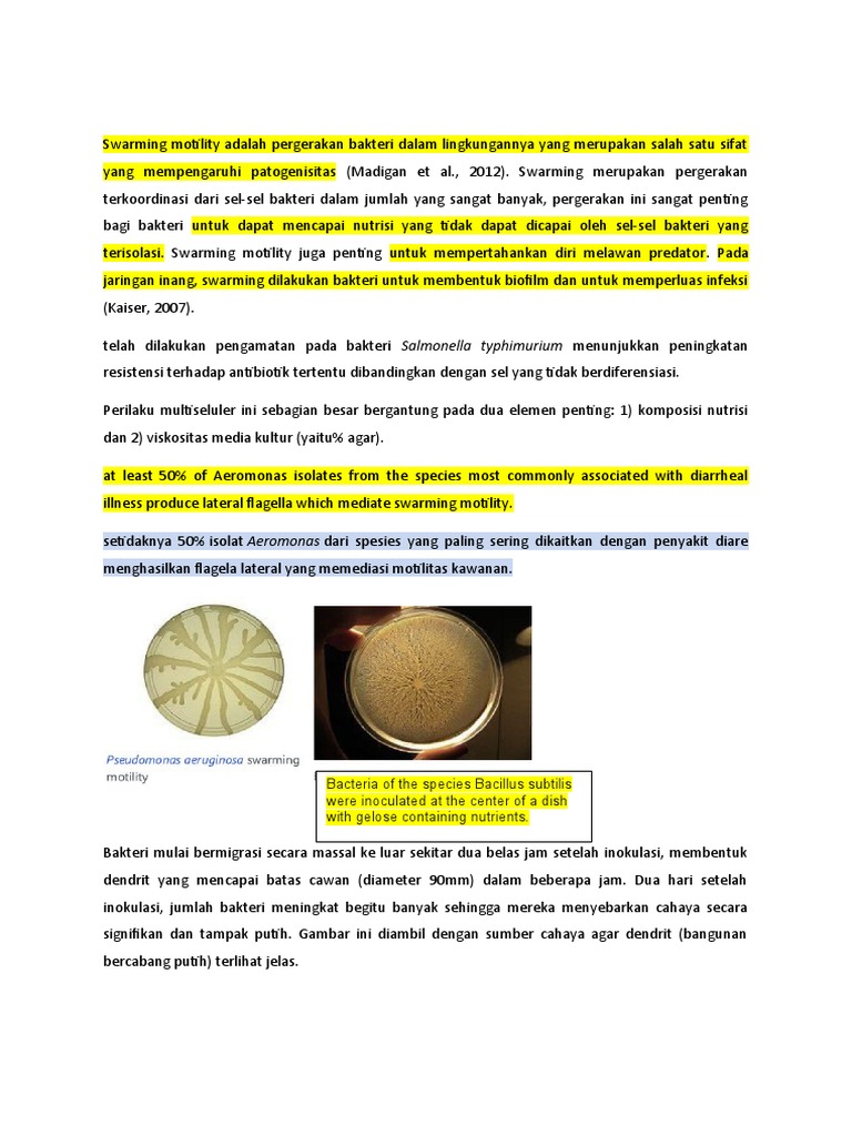 Swarming Motility | PDF