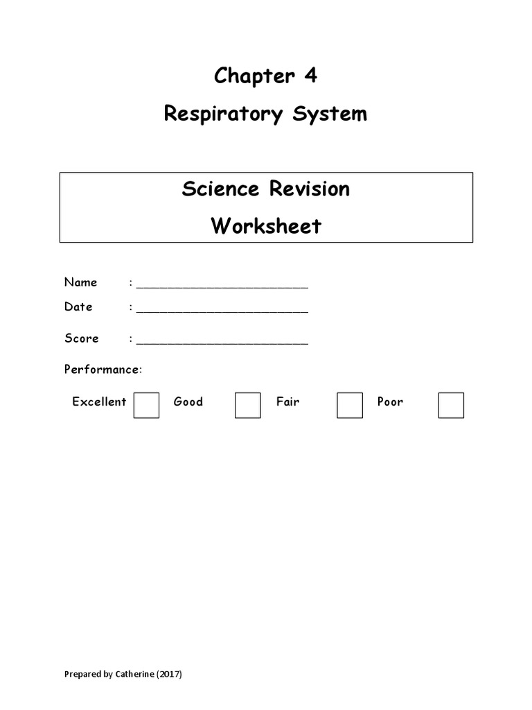 Respiratory System Science Revision Worksheet | Download Free PDF ...