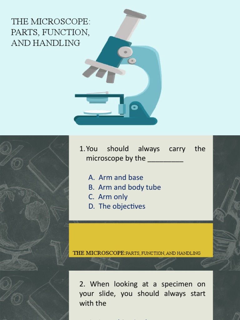 The Microscope - Summative Test | PDF