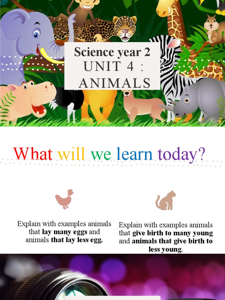 Science Year 2 Animal Reproduction (A Few & Many) | PDF