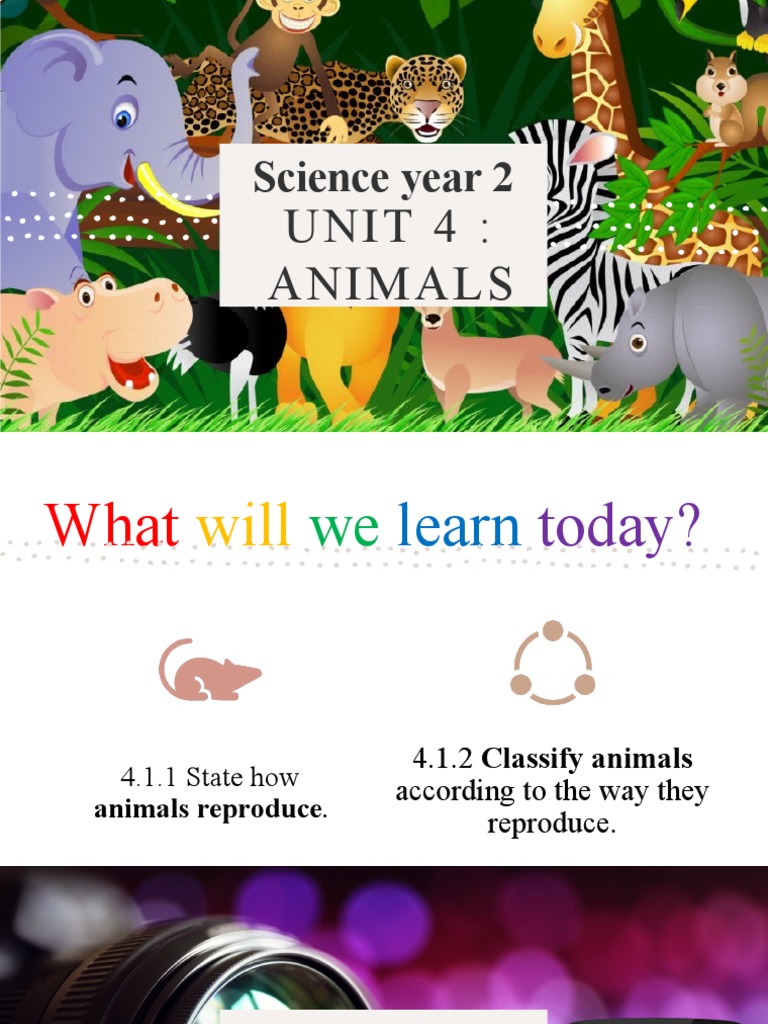 Science Year 2 Animal Reproduction | PDF