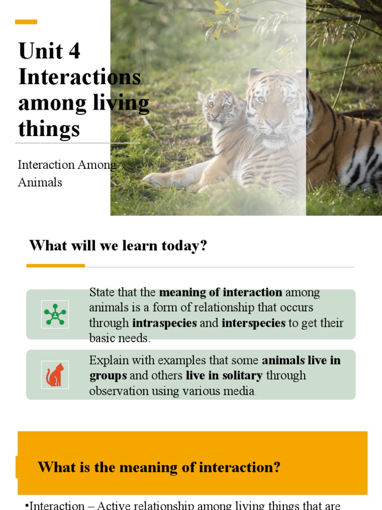 Science Year 6 Interaction Among Animals | PDF