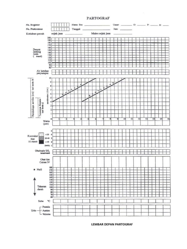 Panduan Lengkap Partograf | PDF