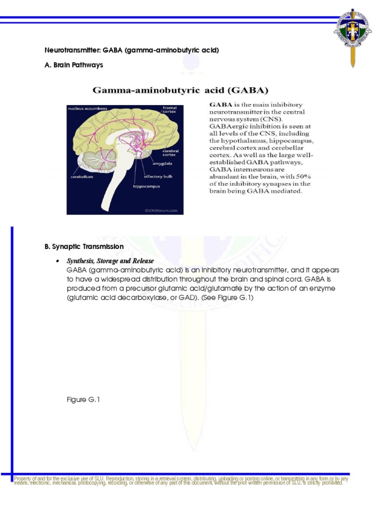 Psych 222 - MODULE 4 - GABA | PDF | Gamma Aminobutyric Acid | Benzodiazepine