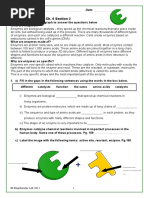 Amoeba Sisters Enzyme Handout | PDF | Enzyme | Catalase