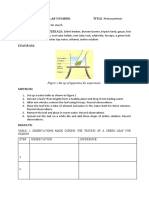 Student-practical-worksheet---tetsing-for-starch | PDF