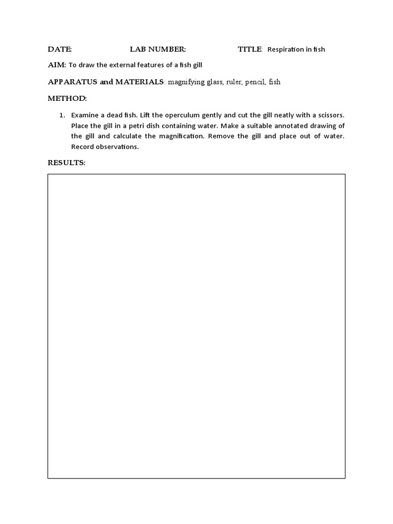 Lab # 9 | PDF | Gill | Drawing