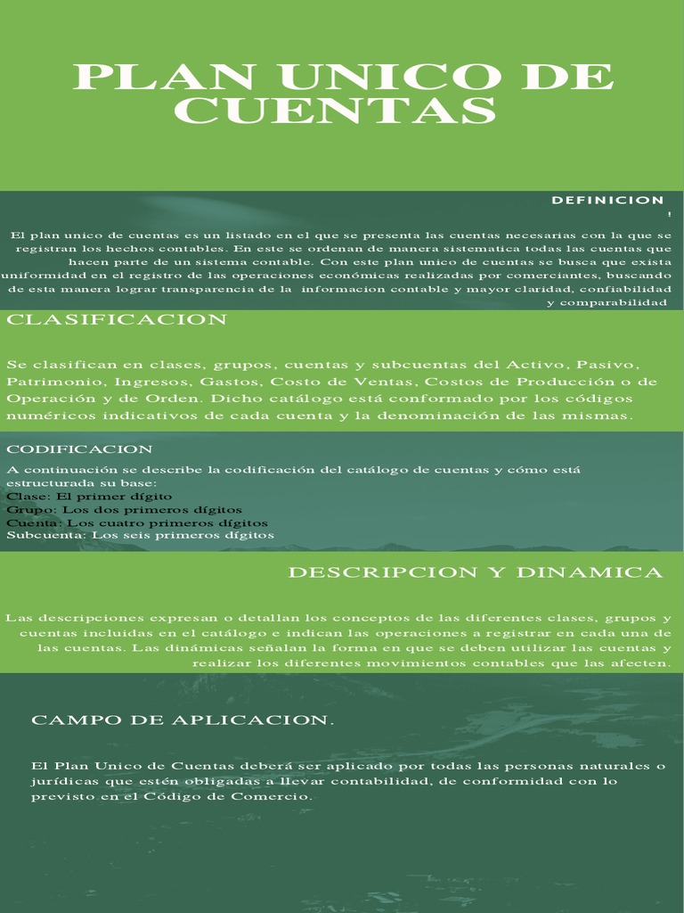 Plan Unico de Cuentas | PDF