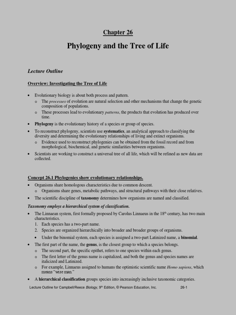Chapter 25 Outline | PDF | Gene | Phylogenetic Tree