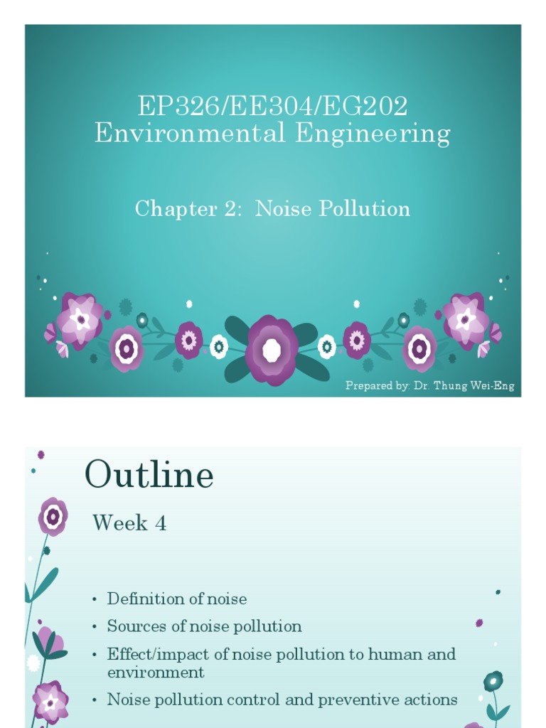 Understanding Noise Pollution Standards | PDF | Sound | Decibel