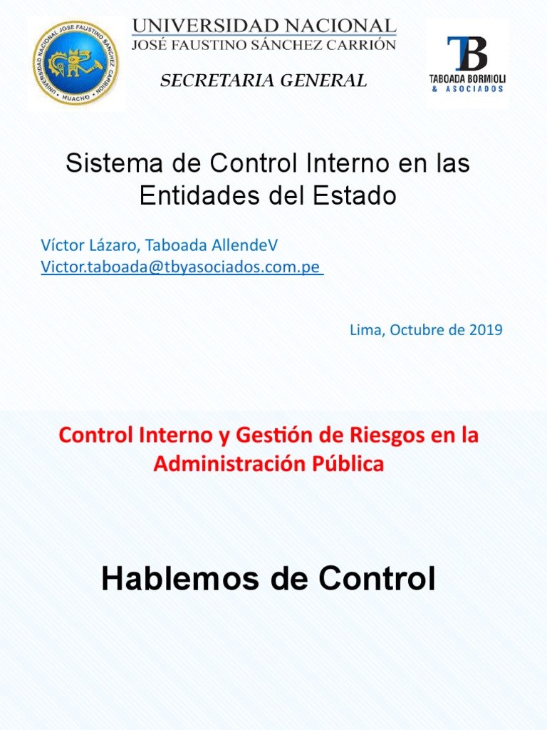 Sistema de Control Interno en Las Entidades Del Estado | PDF ...