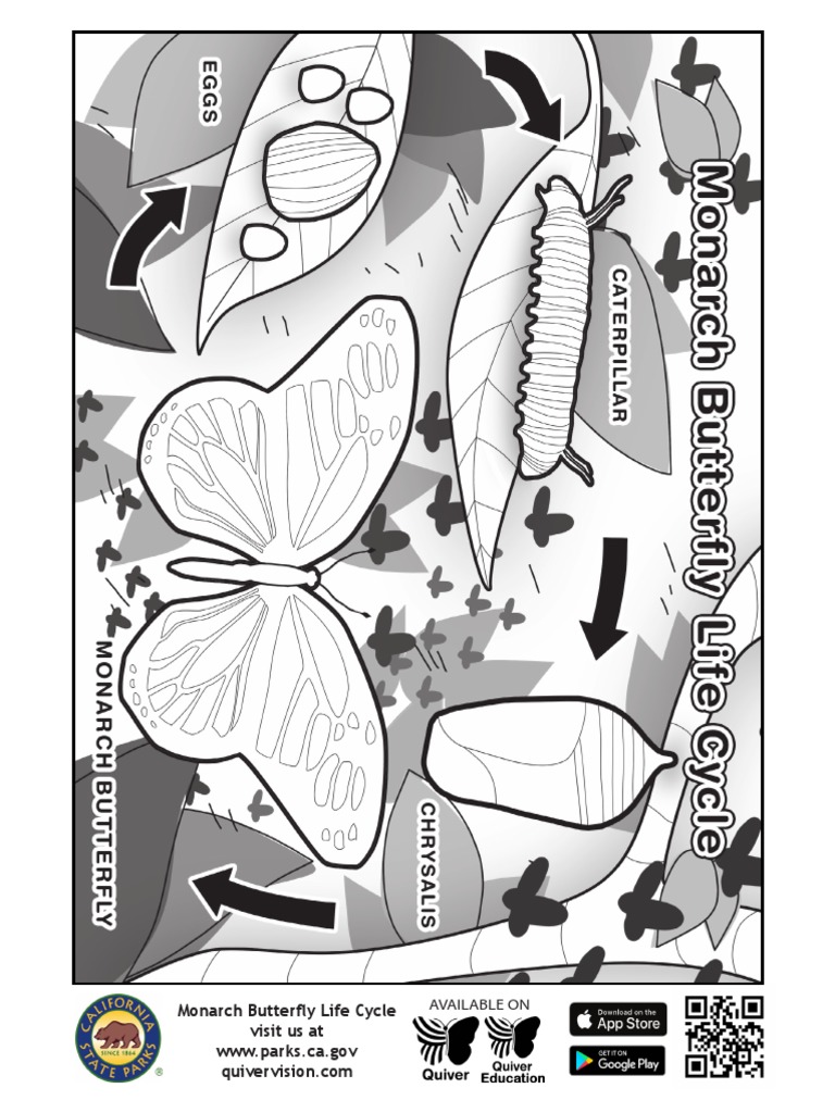 Monarch Butterfly | PDF