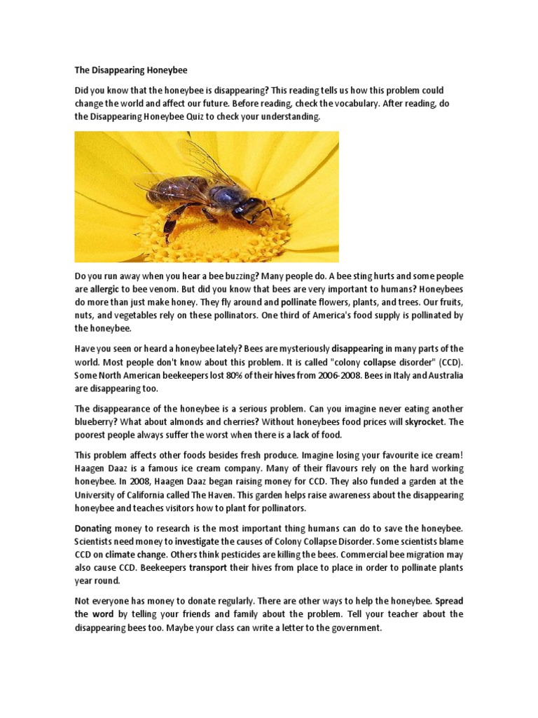 Midterm Reading The Disappearing Honeybee | PDF | Wellness