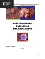 CAPÍTULO 17 - Prurigo Por Insectos (Cimiciasis) | PDF | Insecticida ...