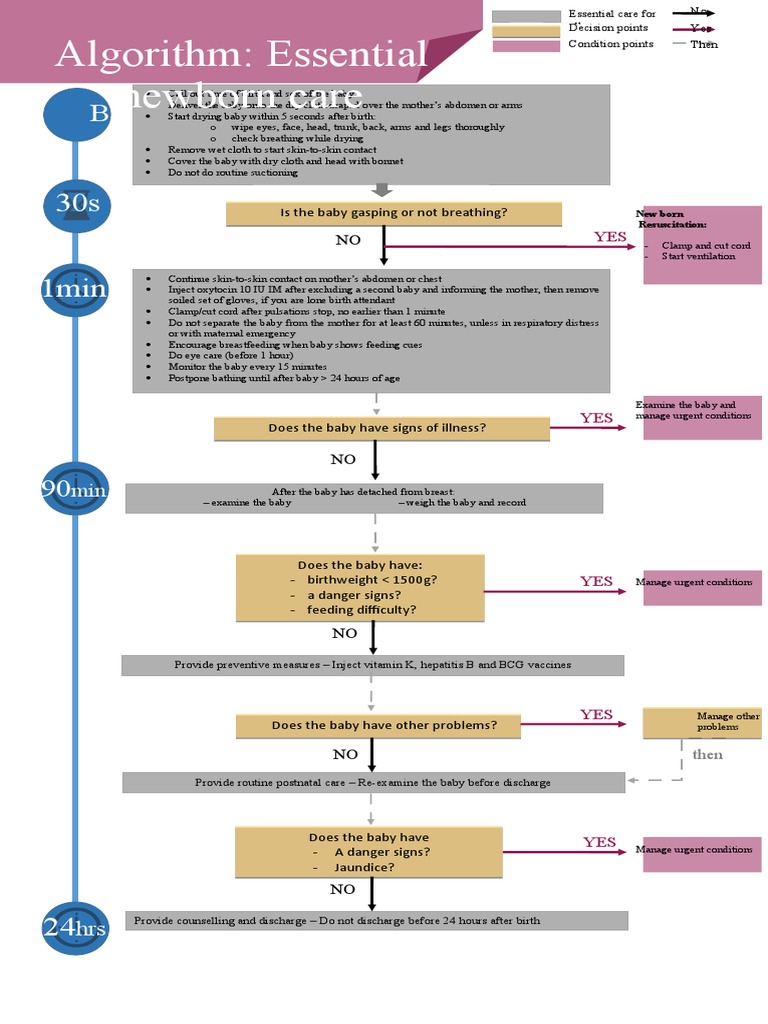 Algorithm: Essential Newborn Care: Is The Baby Gasping or Not Breathing ...