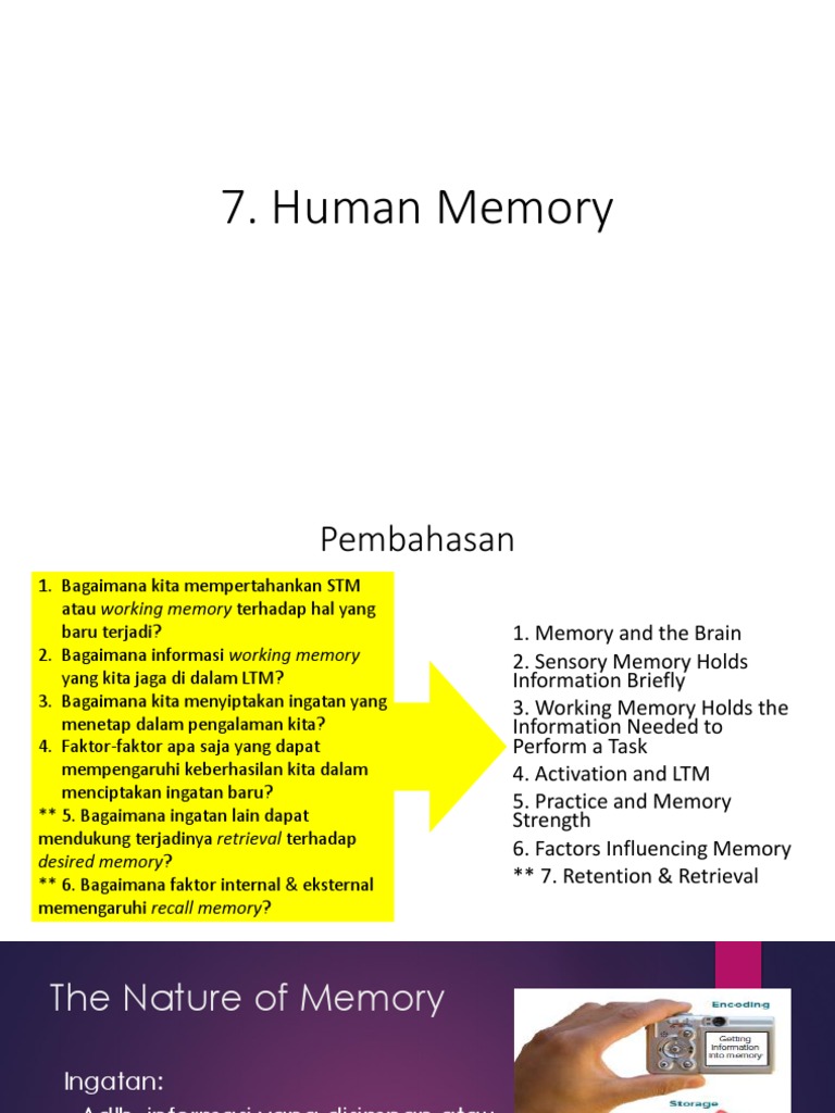 Human Memory | PDF