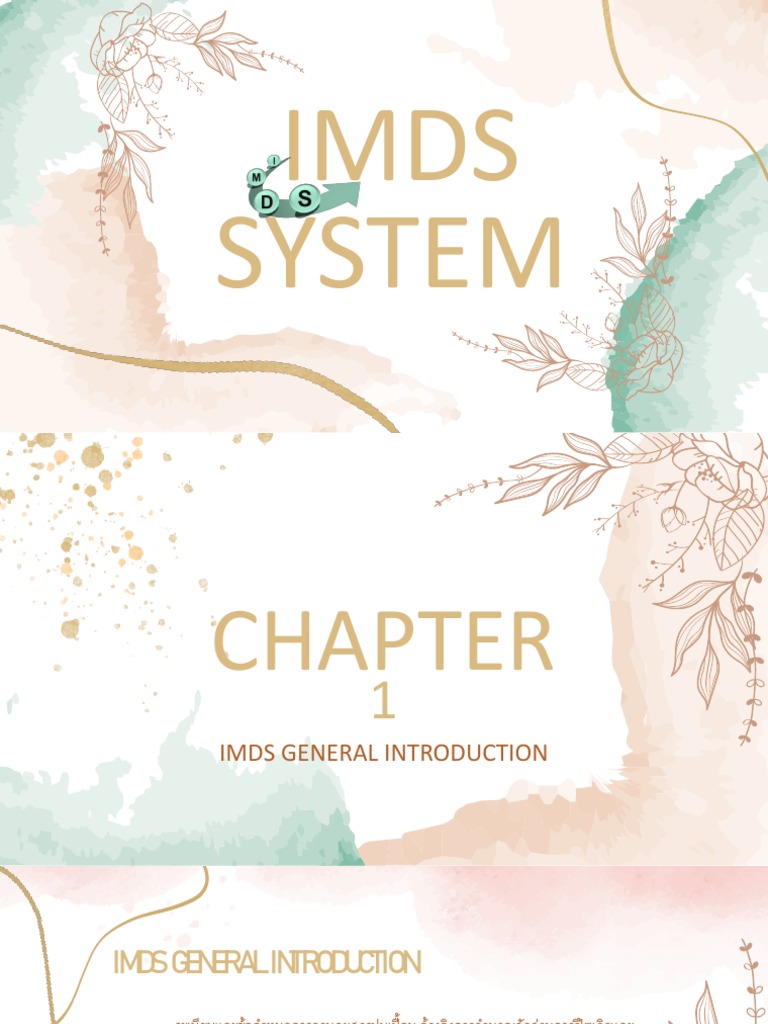 Imds System | PDF
