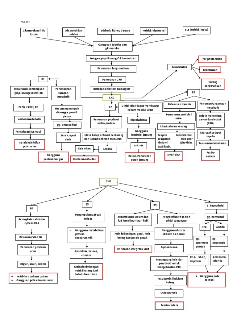 Woc CKD Compress | PDF