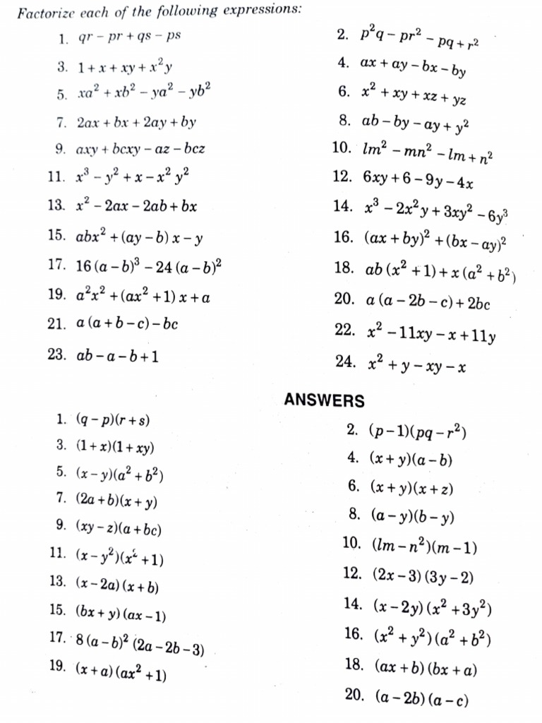 Factorization Exercises and Solutions | PDF