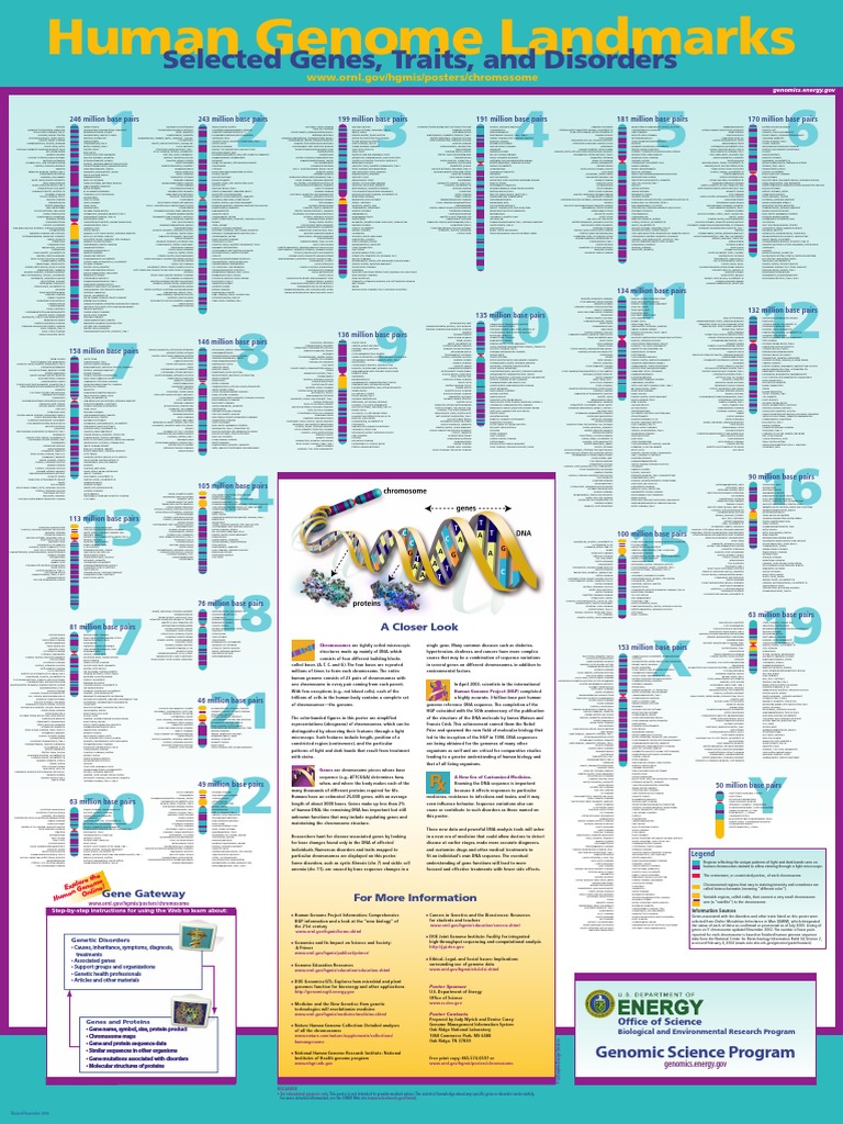 Genome Poster 2009 | PDF | Cancer | Neoplasms
