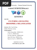 Brine Shrimp Hatching Rate and Salinity | PDF | Experiment | Nature