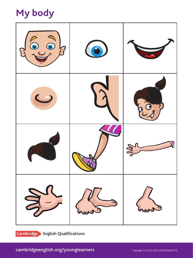 Starters Flash Cards | PDF | Foods