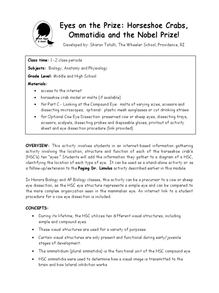 Eyes On The Prize (Horseshoe Crab Vision) Lesson | PDF