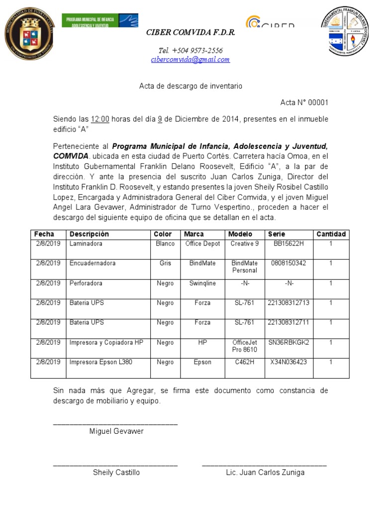 Acta de Descargo: Impresora Epson C462H | PDF