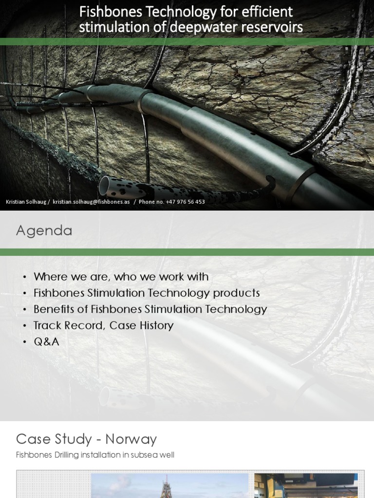 Kristian Solhaug / Kristian - Solhaug@fishbones - As / Phone No. +47 ...