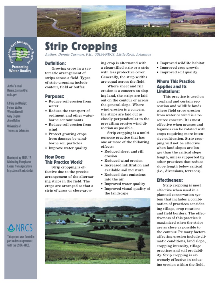 BMP Strip Cropping | PDF | Crop Rotation | Erosion