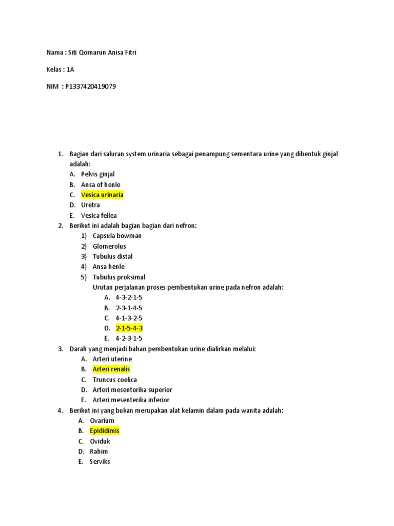 Siti Qomarun Anisa Fitri | PDF