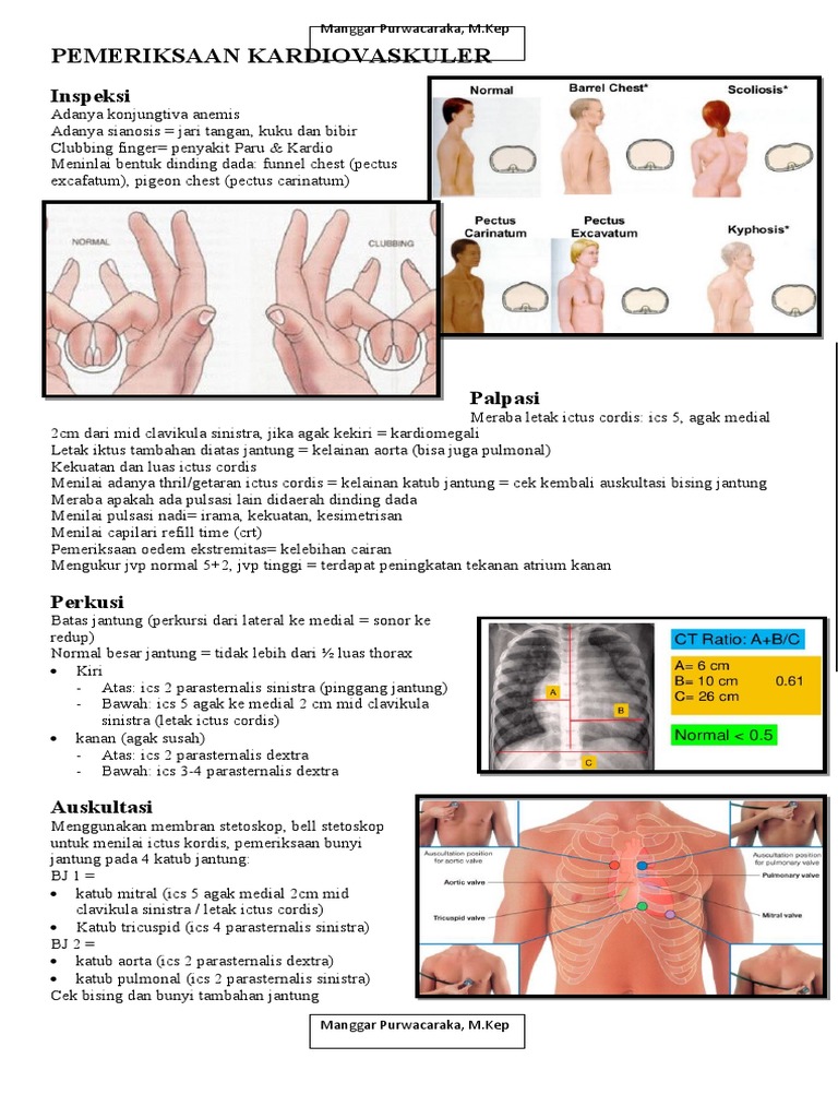 Pemeriksaan Fisik Jantung | PDF