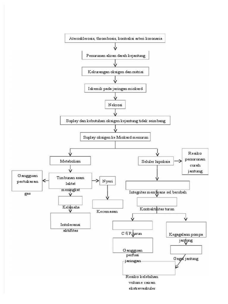 Pdf Pathway Stemi Pdf