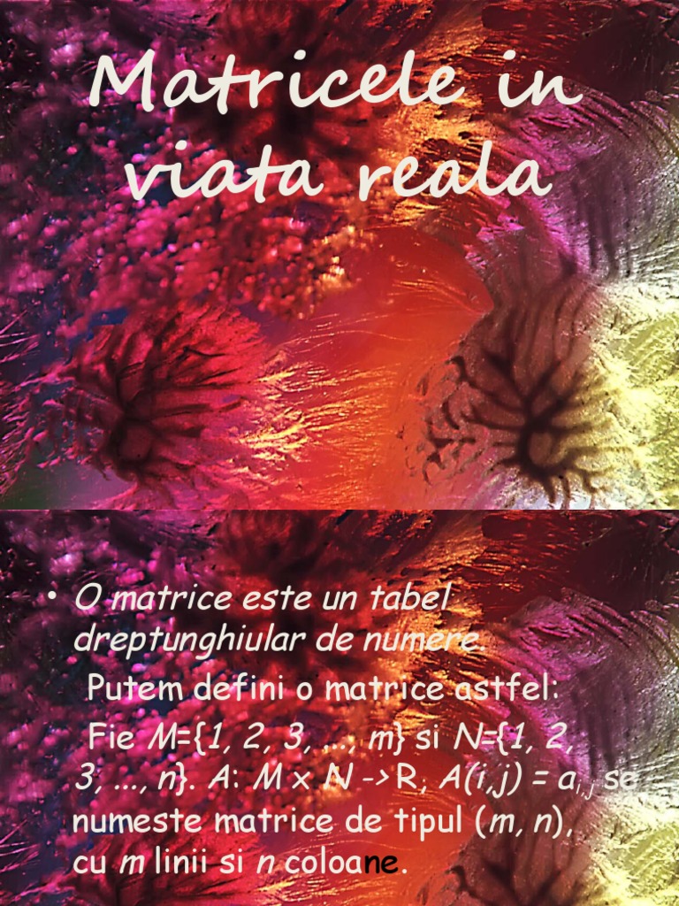 Matrici in Viata Reala | PDF