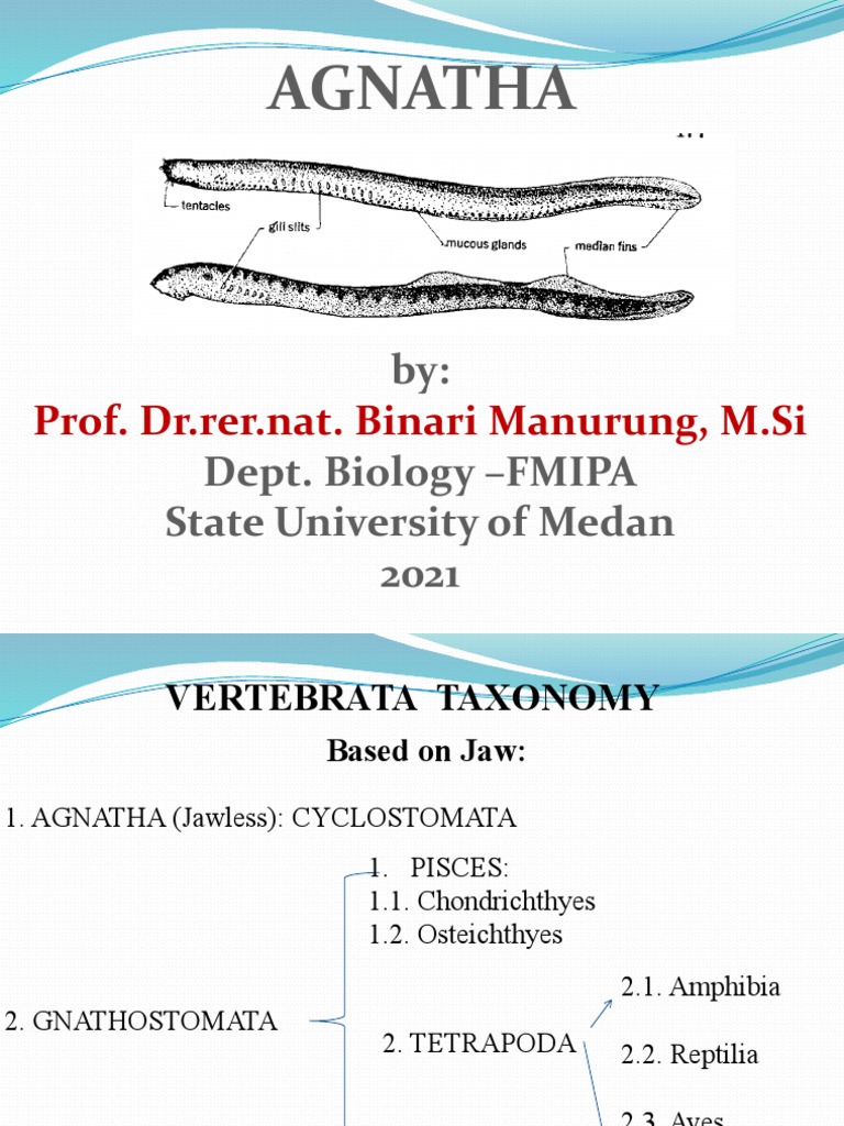 Agnatha: By: Dept. Biology - FMIPA State University of Medan 2021 | PDF ...