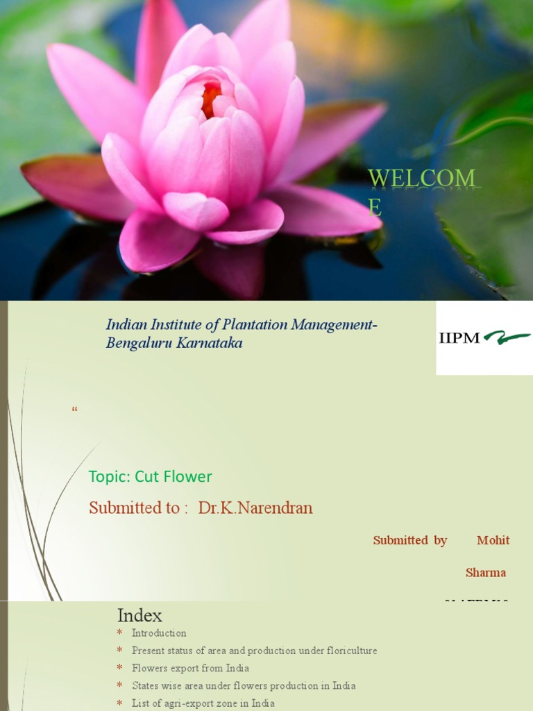 Flower | PDF | Flowers | Rose