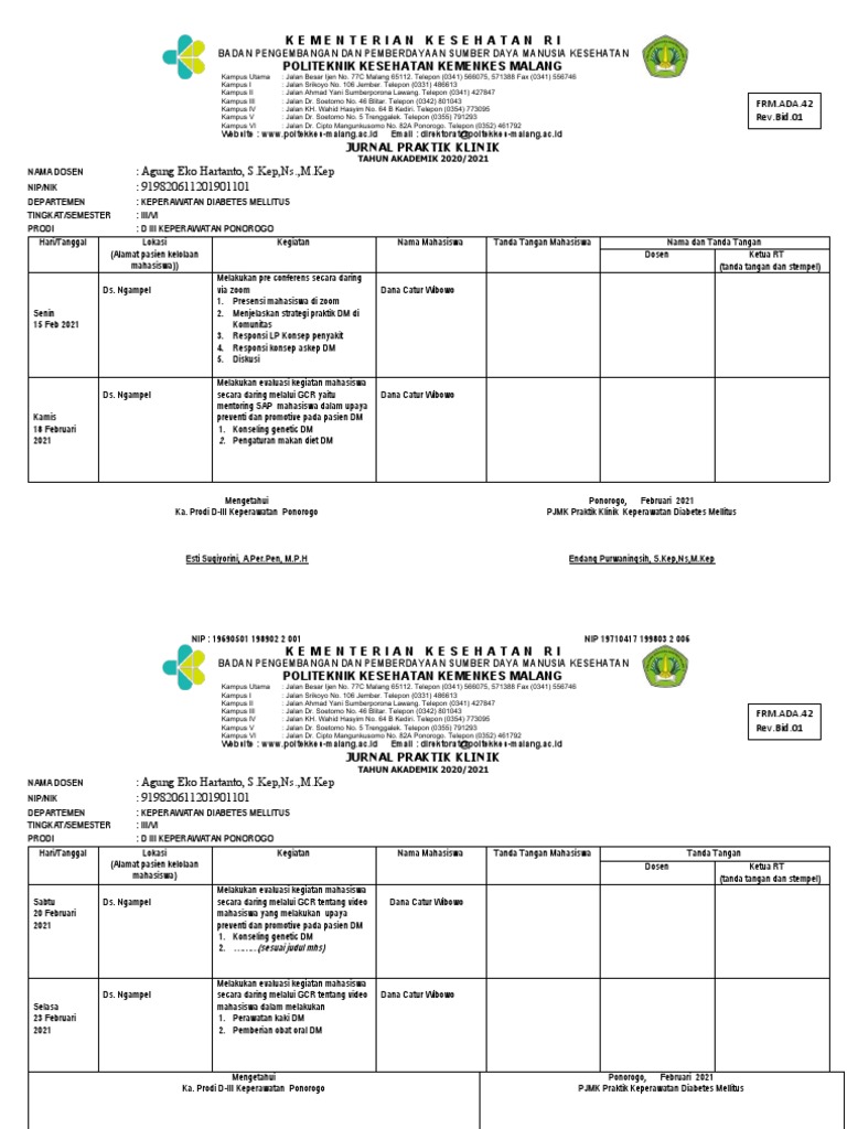 Jurnal-Praktik DM DANA | PDF | Pengembangan Diri | Kesehatan Holistik