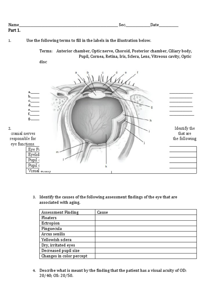 Assignment PC Eye Vision Disorders | PDF | Eye | Ophthalmology