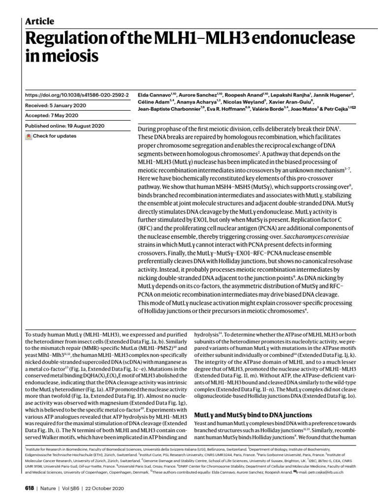 Regulation of The MLH1-MLH3 Endonuclease in Meiosis | PDF | Dna | Meiosis
