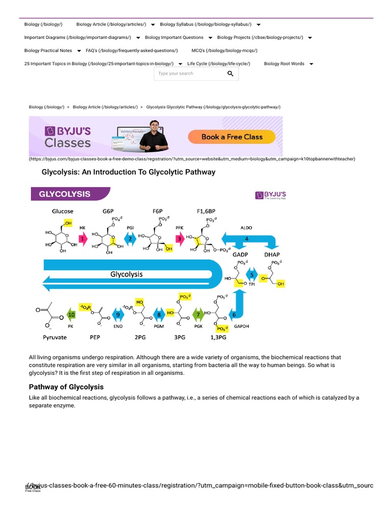 Glycolysis: The Pathway and Key Events in Glycolysis Process ...
