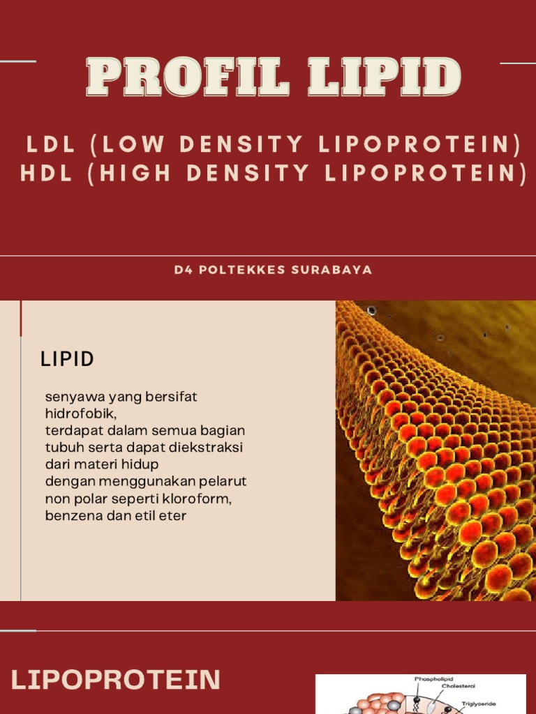 HDL LDL | PDF