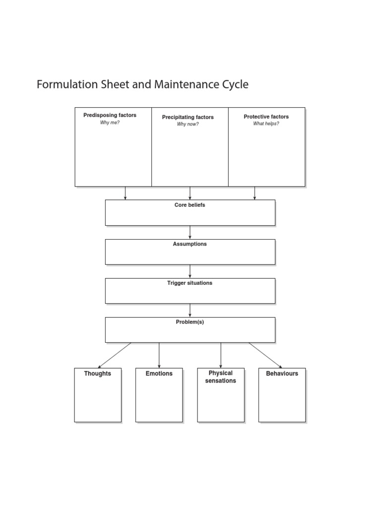 Formulation Sheet and Maintenance Cycle | PDF