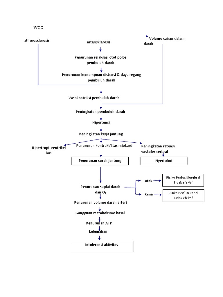 Woc Hipertensi | PDF